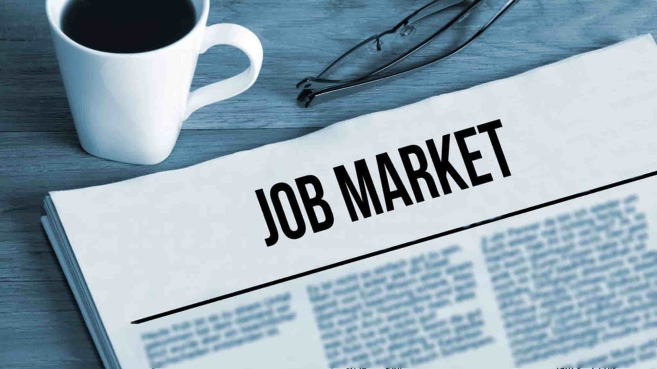 Navigating the Job Market: Why work with Solo Search? - Solo Search